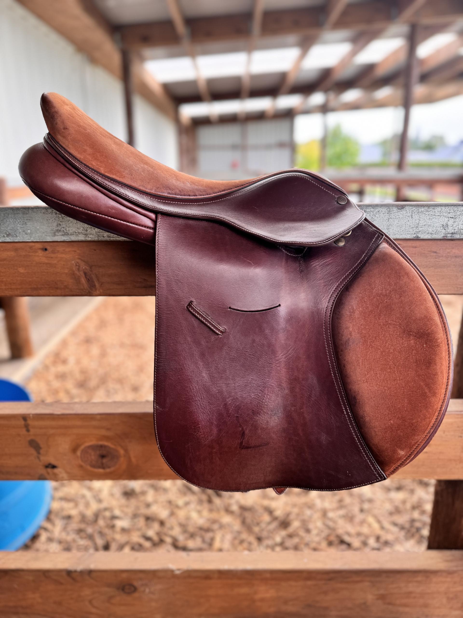 Bates Momentum Jump Saddle - New Zealand Professional Saddle Fitting ...